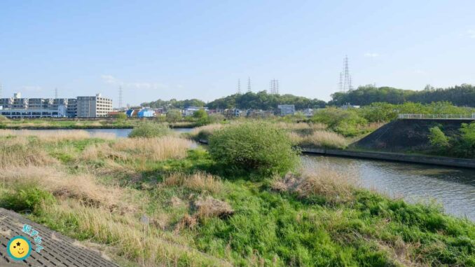 横浜市北部を流れる早渕川、源流〜終端の地図と写真 - たまプロ新聞